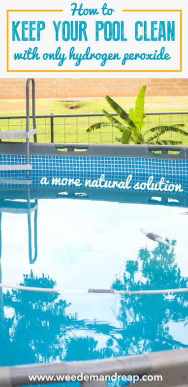 Convert your Pool into a Natural Swimming Pool (with hydrogen peroxide ...
